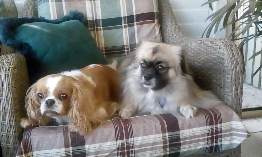 Mt Archer Allied Health Clinic